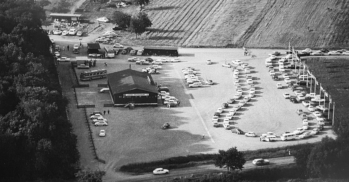 Gesucht: Familienfotos vom Besuch im Safariland Groß-Gerau